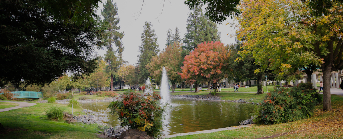 Stan State's Summer Highlights and Accolades Advance a Fruitful Fall ...