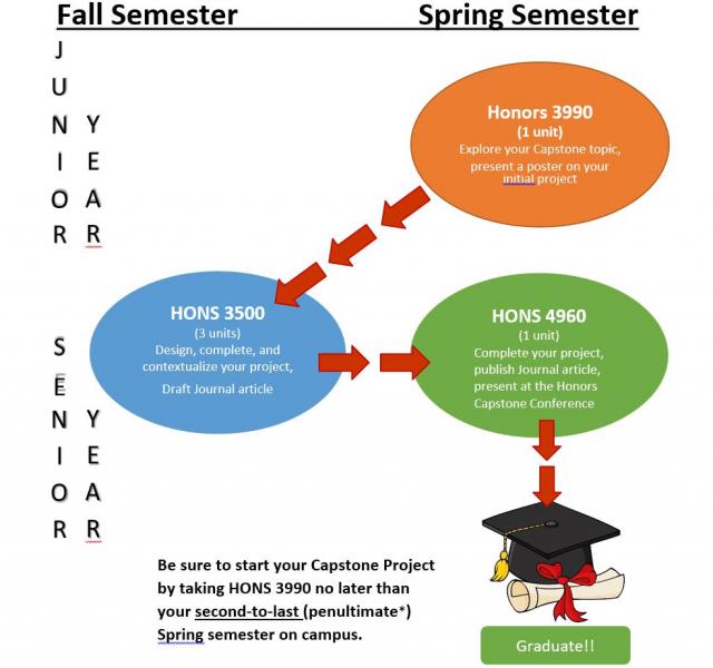 Capstone Project Information California State University Stanislaus Capstone Project Information California State University Stanislaus
