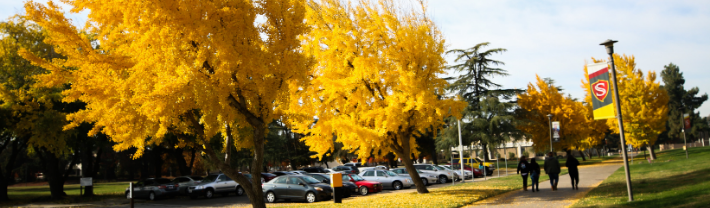Project Rebound | California State University Stanislaus