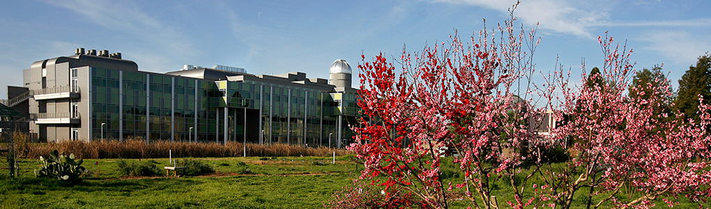 Department of Biological Sciences | California State University Stanislaus