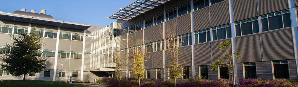 College of Science | California State University Stanislaus