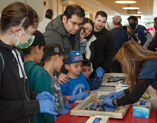Stockton Campus | California State University Stanislaus
